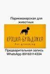Kroshka buldoghka (Baulinskaya ulitsa No:1, Novye Ostrovtsy Subdistrict, derevnya Ostrovtsy), evcil hayvan kuaförleri  Moskova ve Moskovskaya oblastından