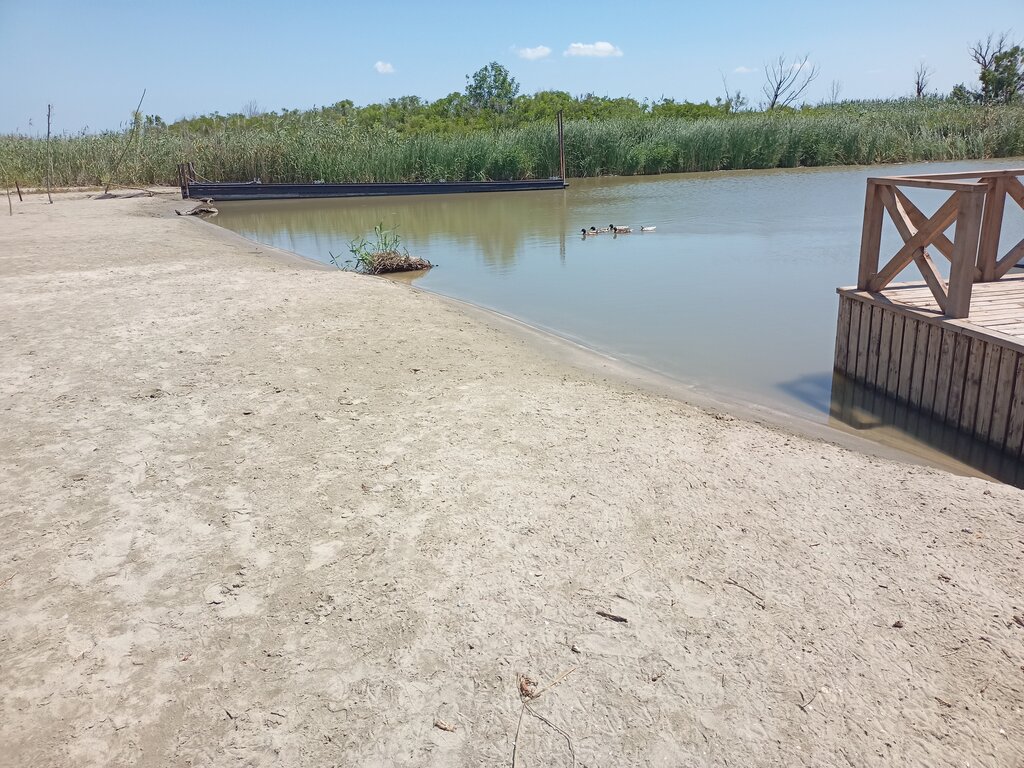 Plaj Пляж, Krasnodarski krayı, foto