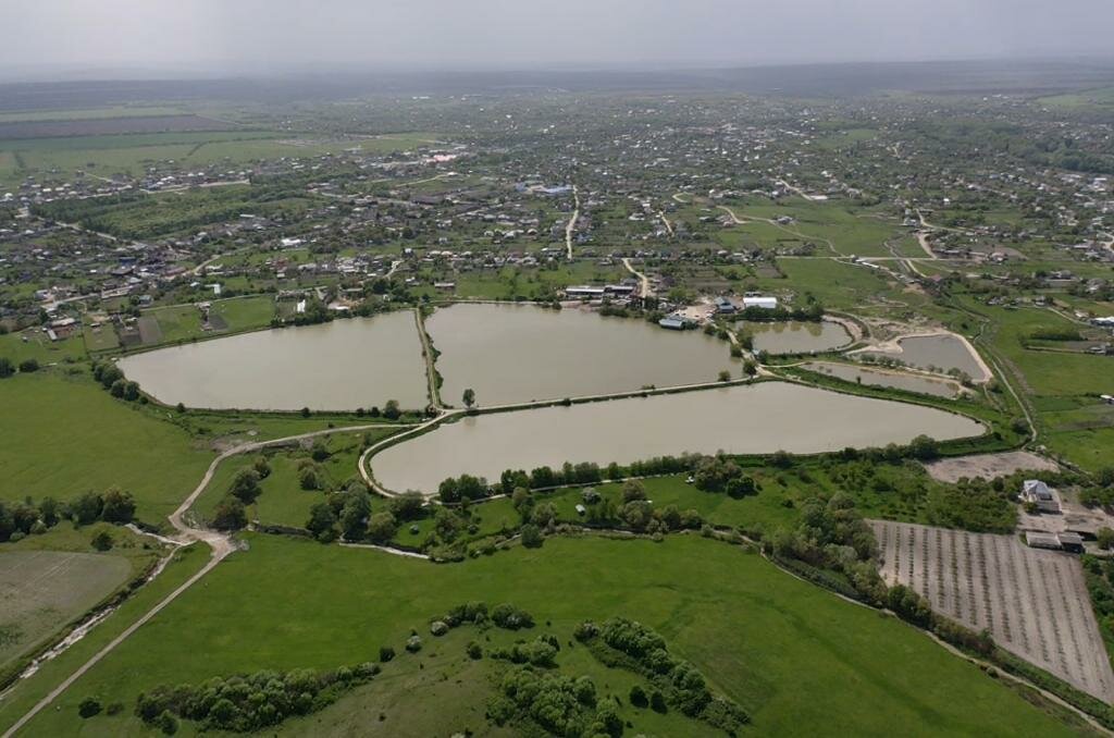 Balık çiftçiliği ve toptancıları Пруды у Валеры, Stavropolski krayı, foto