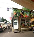 Киоск по продаже фруктов и овощей (Marshala Zhukova Street No:4Б), manavlar  Voronej'den