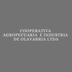 Cooperativa Agropecuaria E Industrial de Olavarría (Provincia de Buenos Aires, Olavarría, General Manuel Belgrano), banka