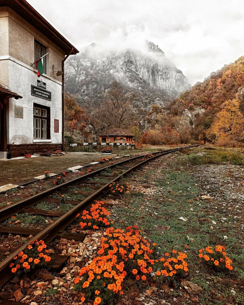 Tren istasyonu спирка Цепина, Dünya, foto