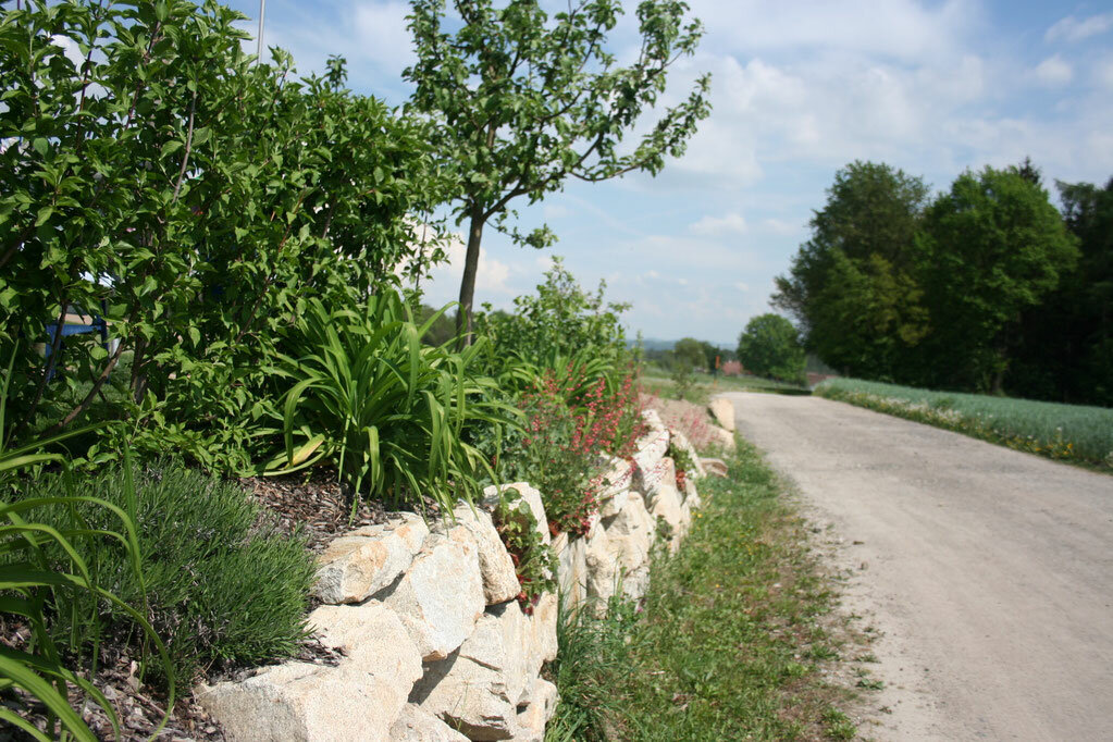 Peyzaj tasarımı Gartengestaltung Schinagl, Yukarı Avusturya, foto