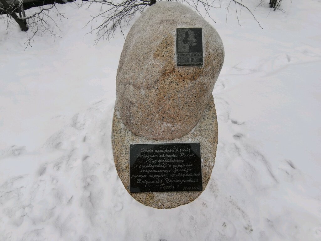 Anıt levhası, anıt taş Белый тополь, Novosibirsk, foto