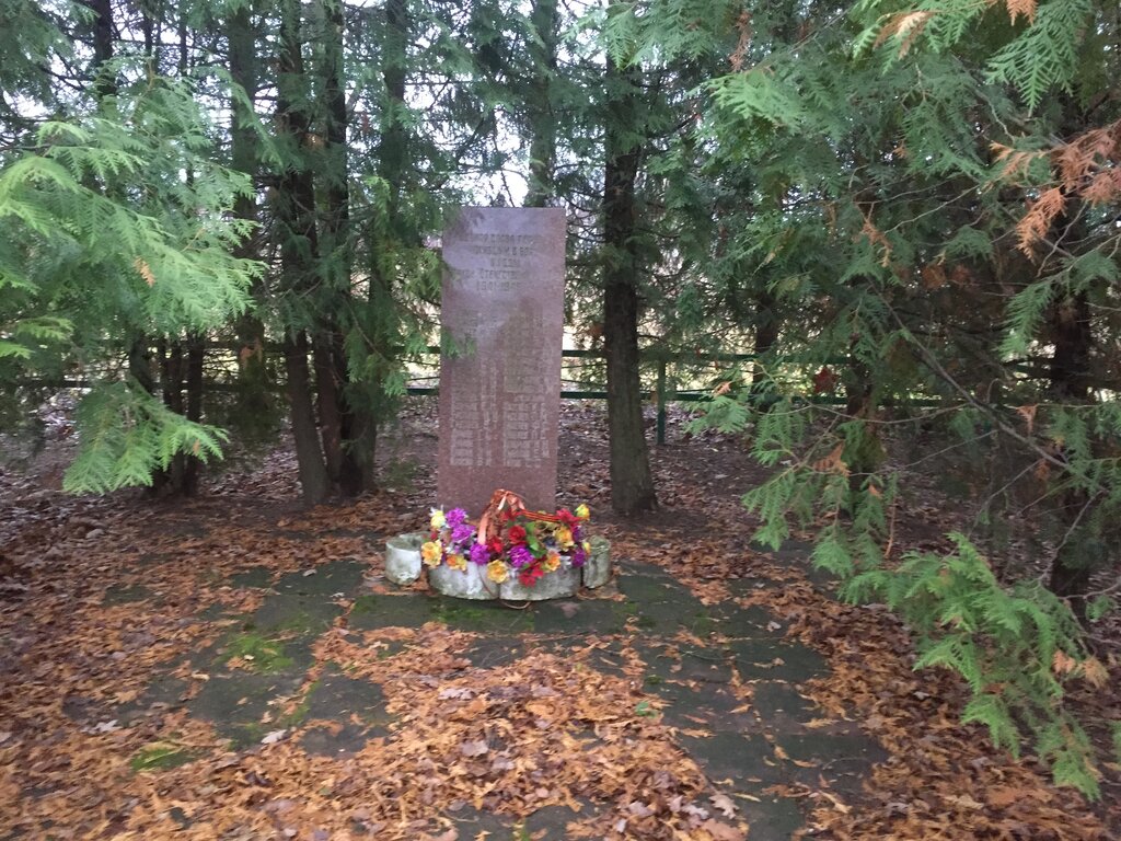 Anıt, heykel Обелиск односельчанам, Moskova ve Moskovskaya oblastı, foto