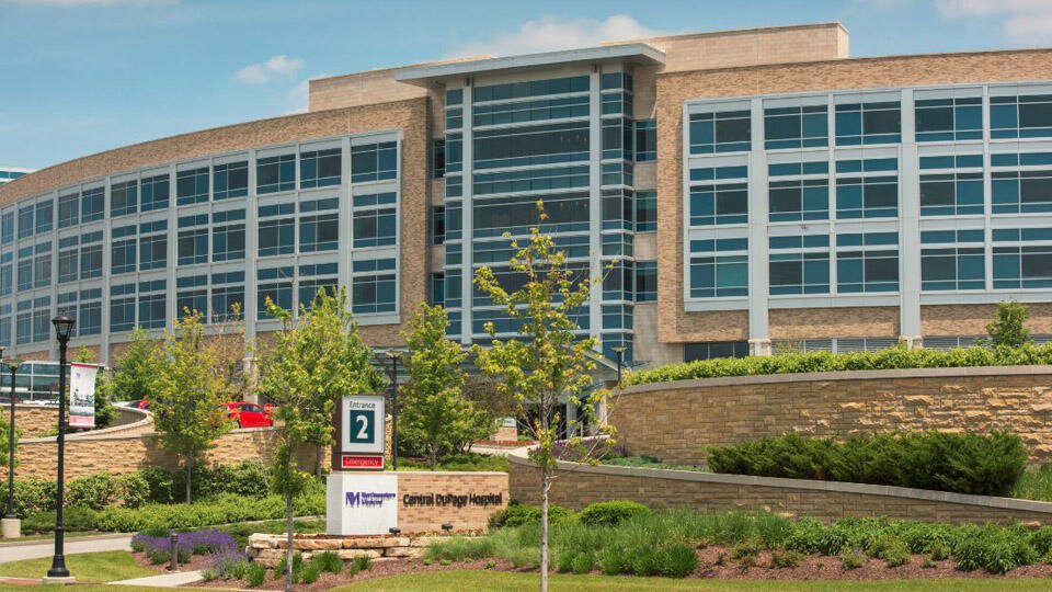 Özel muayenehaneler Michael G. Mercury, PhD, İllinois, foto