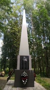 Обелиск павшим односельчанам в годы Великой Отечественной войны (Smolenskiy munitsipalny okrug, derevnya Divasy), anıt, heykel  Smolenskaya oblastından