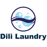 Dilijan Laundry (Kalinin Street No:241), çamaşırhaneler  Dilican'dan