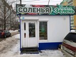 Соленья (Kursk, mikrorayon Dalniye Parki), market  Kursk'tan