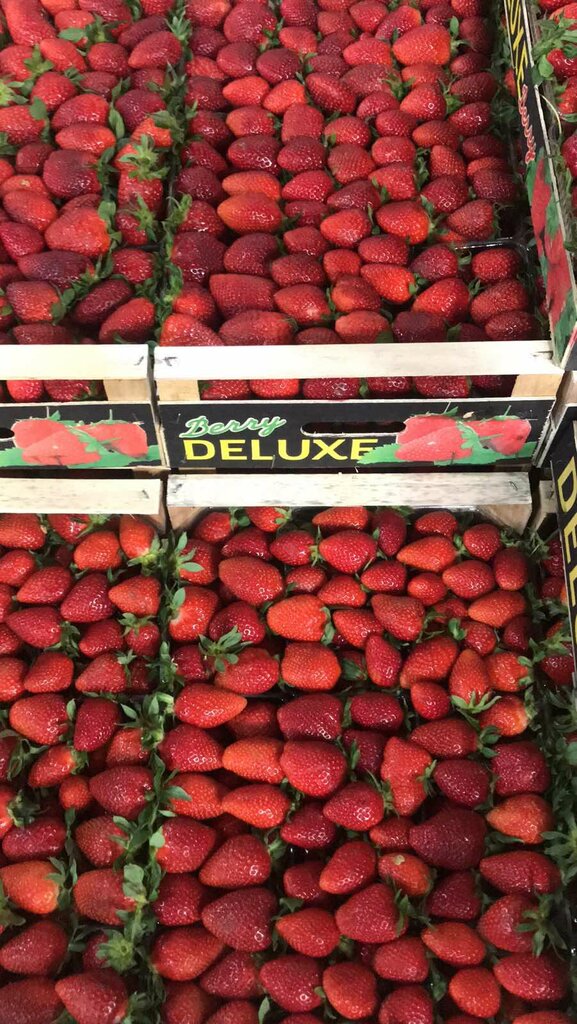 Toptan sebze ve meyve satışı 1 Fruit, Moskova, foto