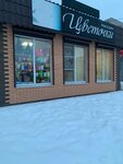 Цветы (Muromskoye shosse No:10А), çiçekçiler  Sudogda'dan