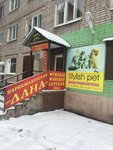 Stylish pet (Pionerskaya ulitsa No:23В), evcil hayvan kuaförleri  Cherepovets'ten