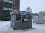 Рыба (Oktyabrskiy Avenue No:60А), balık ve deniz ürünleri  Petrozavodsk'tan