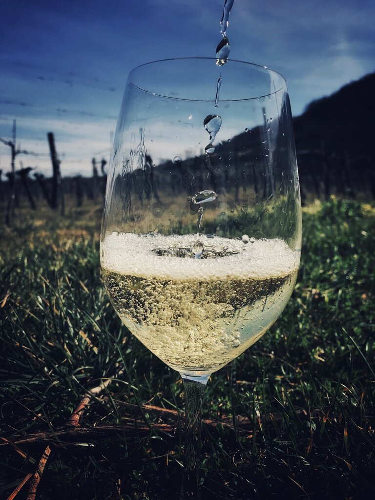 Şarap ve içki toptan satışları Winzerhof Widmayer, Aşağı Avusturya, foto