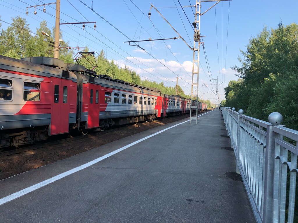 Tren istasyonu остановочный пункт Рыжики (11 километр), Saint‑Petersburg ve Leningradskaya oblastı, foto