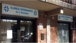 Clinica Veterinaria Belviglieri dr. Cesare (Circonvallazione Maroncelli No:3, Verona), veteriner klinikleri  Verona'dan