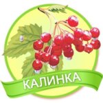 Kalinka (Baýyrjan Momyshuly kóshesi No:3), market  Prioziorsk'tan