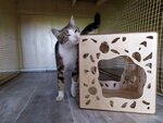 Cat Vaska (Gagarina Street No:25Б), pet otel  Magadan'dan