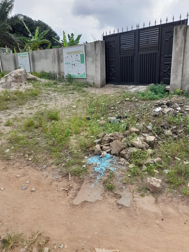 Tıp merkezleri ve klinikler Hahnemann centre for Homeopathy, Dünya, foto