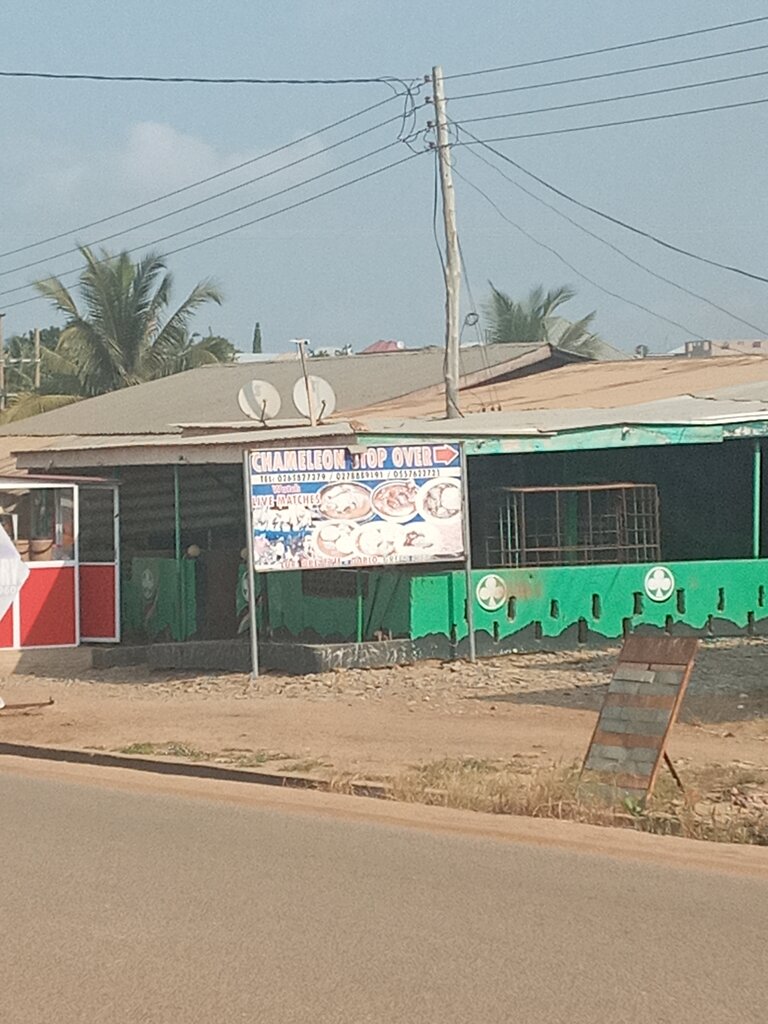 Bar Chameleon stop over pub, Dünya, foto