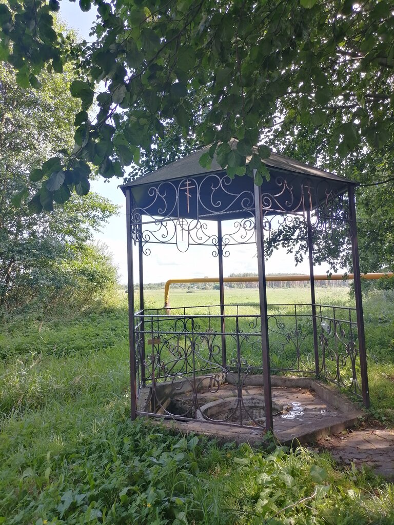 Pınar, çay Киселевичский ключ, Mogiliovskaya oblastı, foto