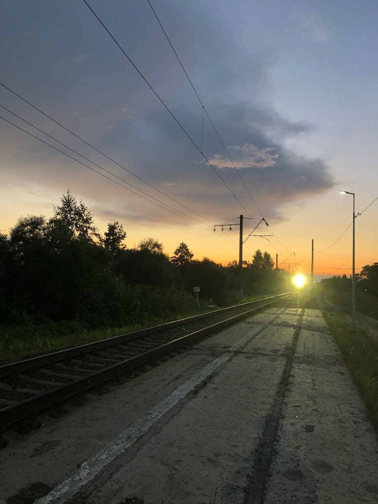 Tren istasyonu 131 км, Briansk, foto