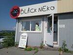Black Neko (No:10, Pervorechenskiy District), market  Vladivostok'tan