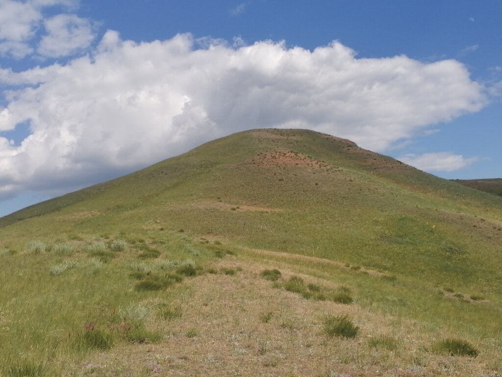 Dağ zirvesi Гора Сулейманова, Orenburgskaya oblastı, foto