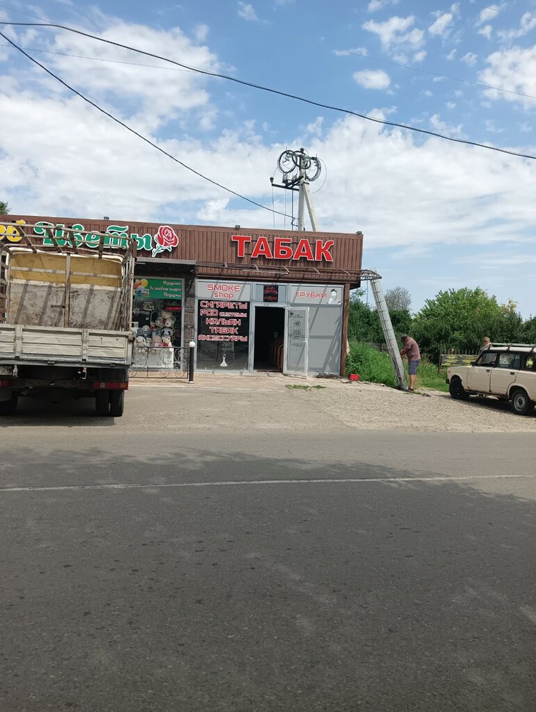 Tütün, sigara mağazaları Табак, Stavropolski krayı, foto