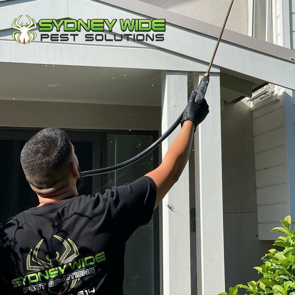 Haşere ilaçlama firmaları Sydney Wide Pest Solutions, Sidney, foto