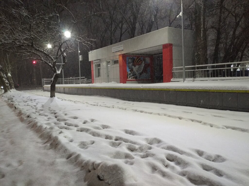 Yük istasyonu Станция имени Вити Черевичкина, Rostov‑na‑Donu, foto