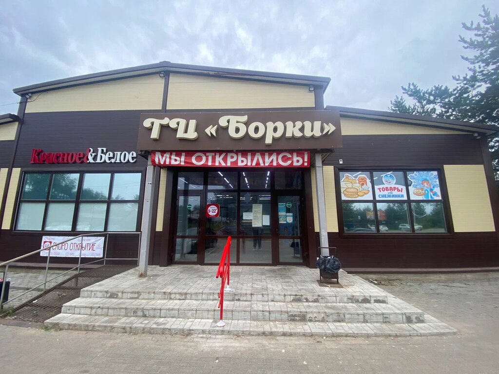 Alışveriş merkezleri Борки, Velikiy Ustug, foto