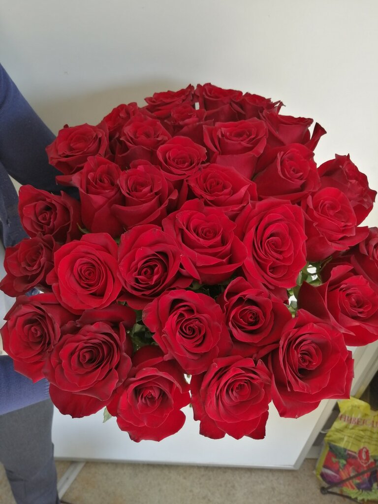 Çiçekçiler Виола, Abdulino, foto