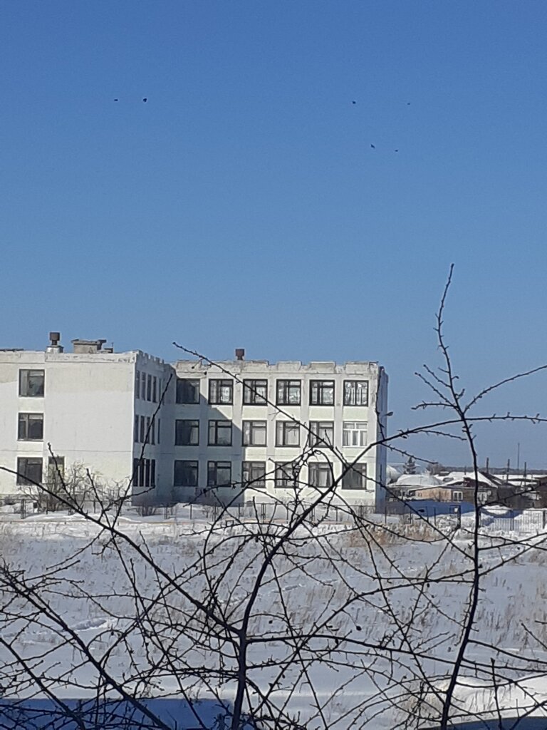 Ortaokul Mkou Okoneshnikovskaya SOSh, Omskaya oblastı, foto
