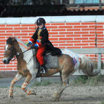 Associazione Sportiva Dilettantistica Kappa Equestre (Rome, Via Portuense, 1940), evcil hayvan yetiştiricileri