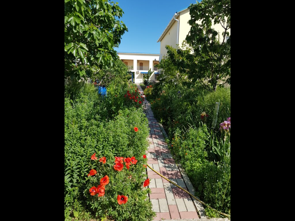 Resort oteller, tesisler У лукоморья, Kırım Cumhuriyeti, foto