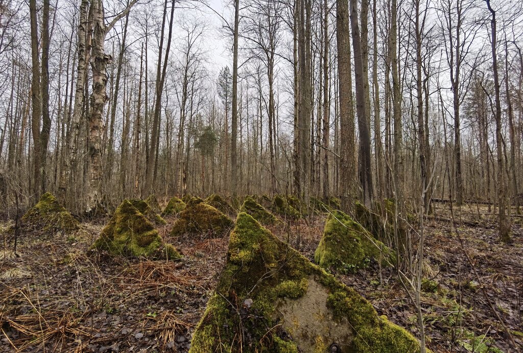 Unutulmaz olayların yeri Противотанковые надолбы, Saint‑Petersburg ve Leningradskaya oblastı, foto