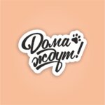 Doma zhdut! (Valgagradskaja vulica No:1), petshop  Brest'ten