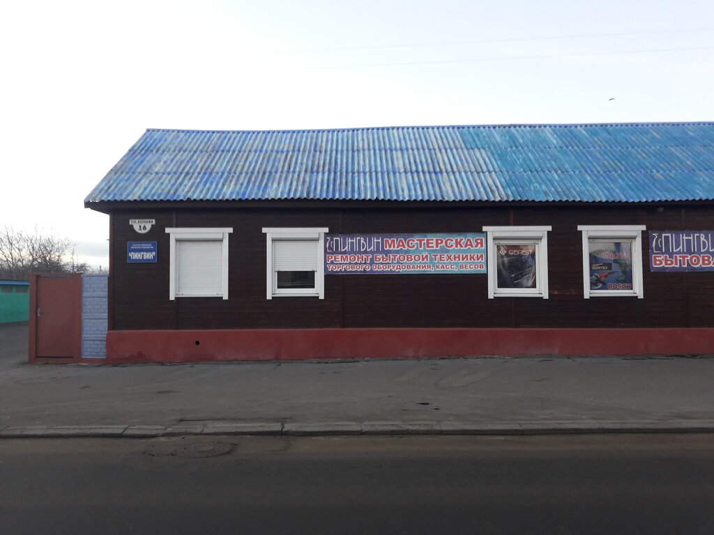 Beyaz eşya servisleri Pingvin, Rechitsa, foto