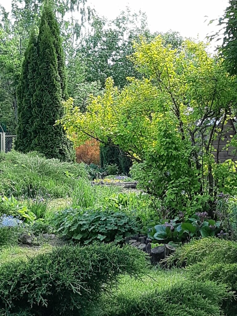 Bahçecilik dernekleri ve kuruluşları СНТ Урожайное, Moskova ve Moskovskaya oblastı, foto