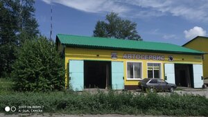Auto repair shop (Molodyozhnaya ulitsa No:5/6, rabochiy posyolok Krasnozyorskoye), otomobil servisi  Novosibirskaya oblastından