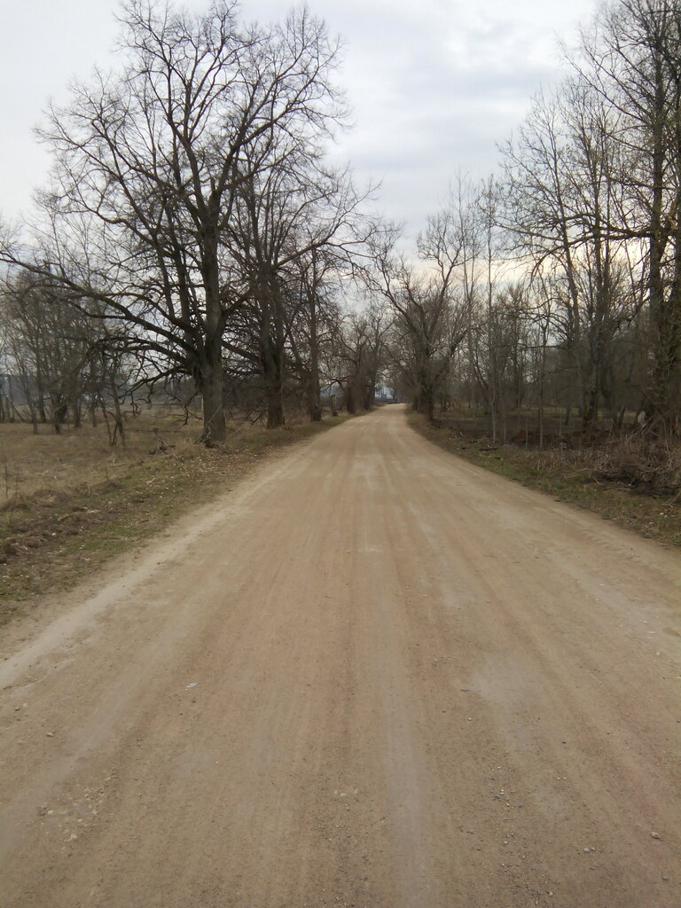 Doğa Въездная аллея усадьбы Куммолова, Saint‑Petersburg ve Leningradskaya oblastı, foto