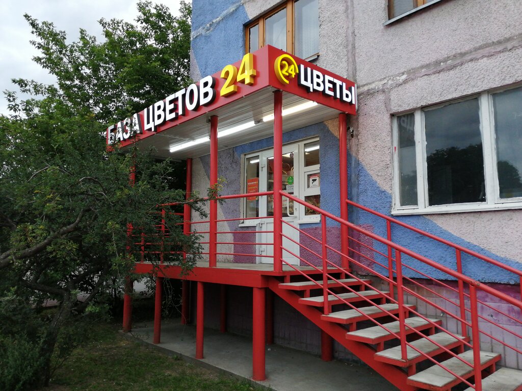 Çiçekçiler База цветов 24, Ramenskoye, foto