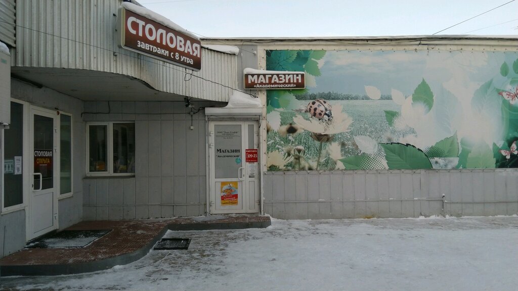 Alışveriş merkezleri Академический, Irkutsk, foto