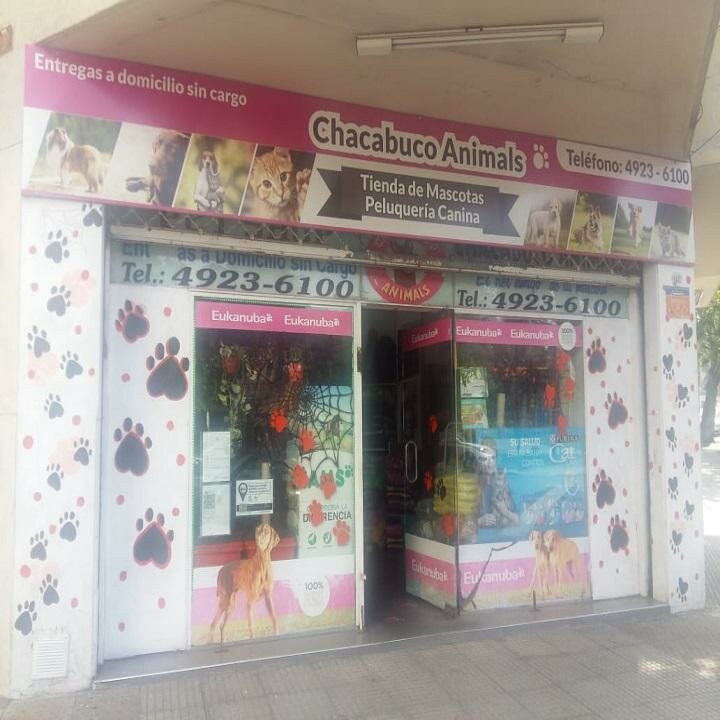 Market Chacabuco Animals, Buenos Aires, foto