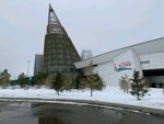 ZhaStar (Qabanbaı Batyr dańǵyly No:47), spor kulüpleri  Astana'dan