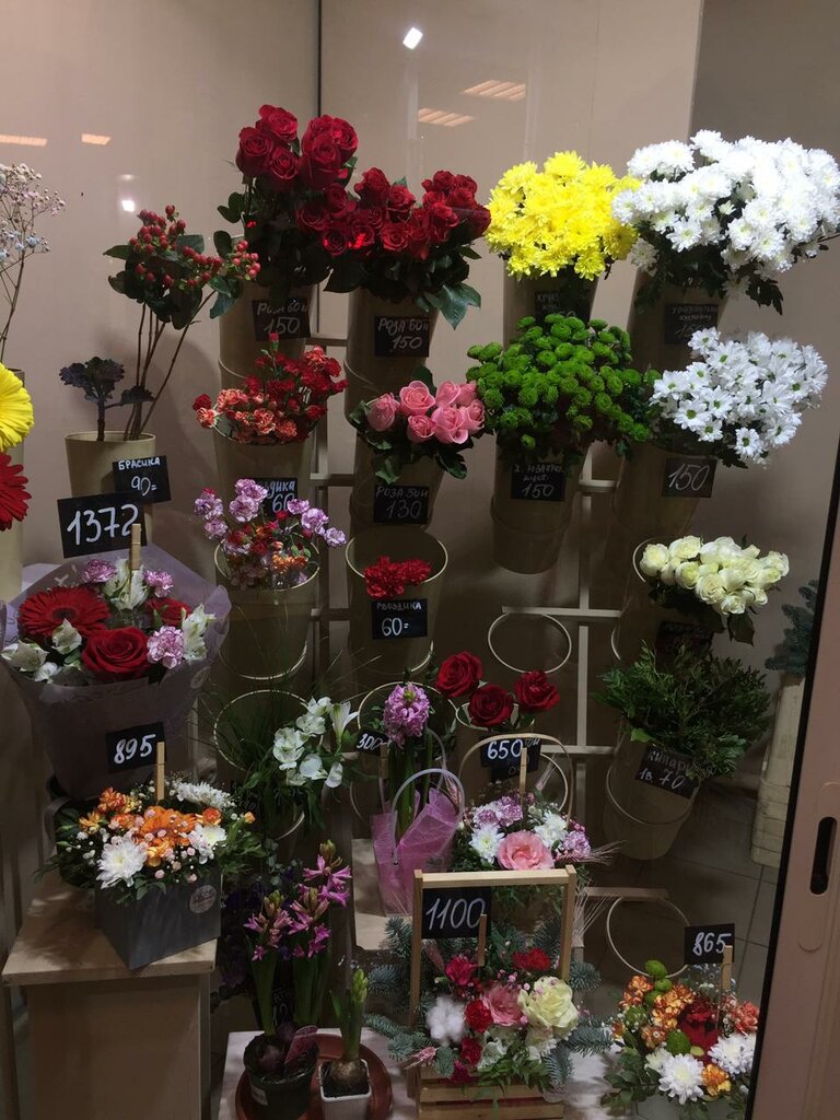 Çiçekçiler Dom Tsvetov, Vologda, foto