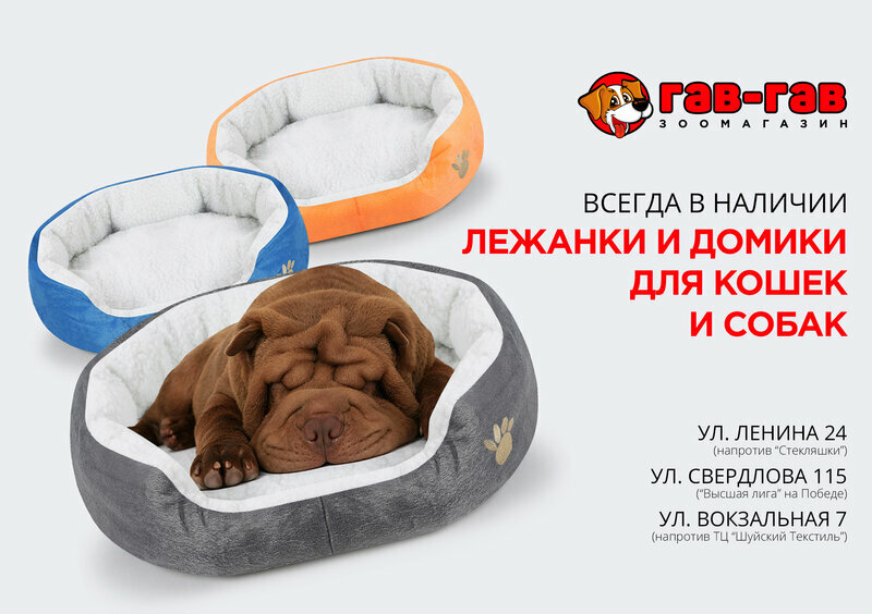 Petshop Gav-Gav, Şuya, foto