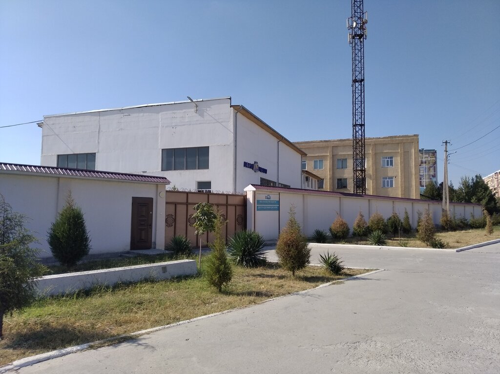 Reklam ajansları Delta delfin dizayn, Taşkent, foto