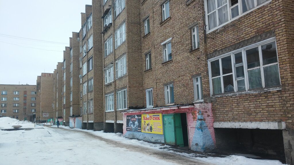 Petshop ЛапУсик, Inta, foto